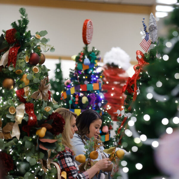 The Gazette's Festival of Trees